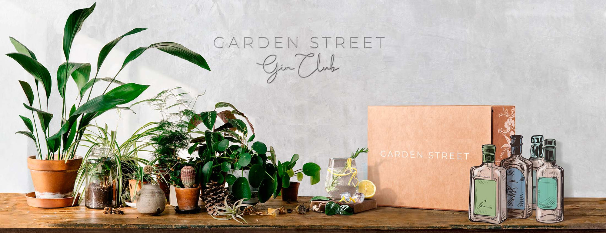Garden Street: Australia's #1 Gin Subscription Box & Delivery Service ...